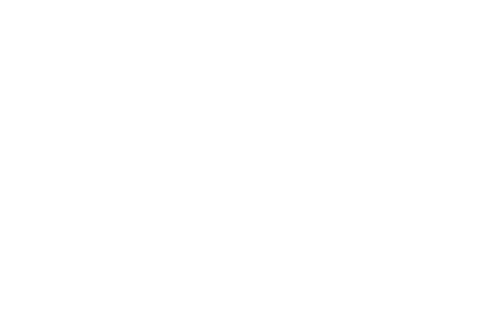 Security Services - Denali Universal Services